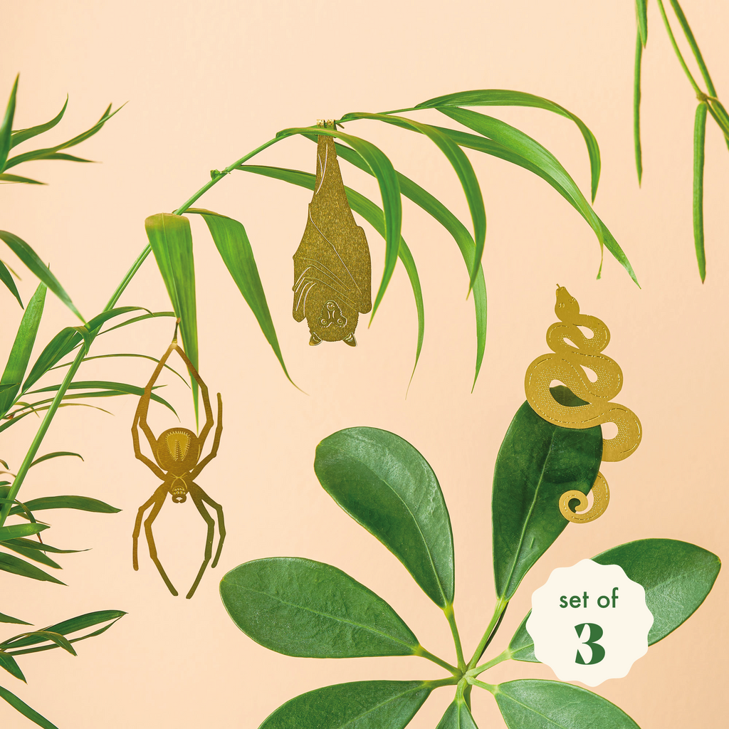 Spooky Plant Animal Set of 3 - Spider, bat, snake for halloween ...