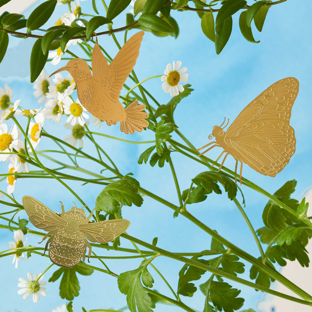 Plant Animal Pollinators Set, butterfly, bee and hummingbird – Another ...