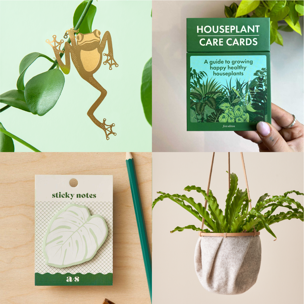 Affordable Gift ideas for Plant Lovers & unique cute plant gifts UK ...