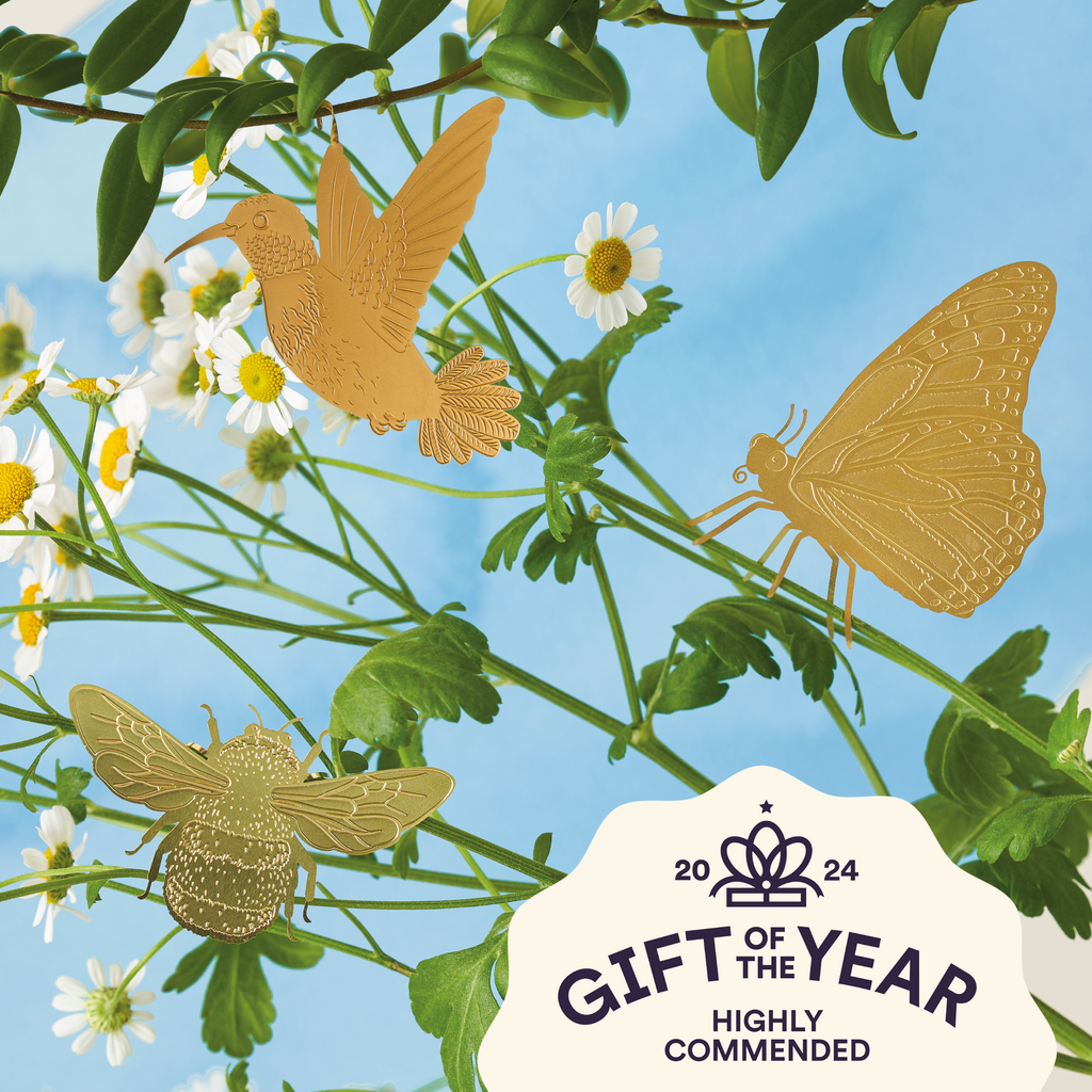 Plant Animal Pollinators Set, butterfly, bee and hummingbird – Another ...