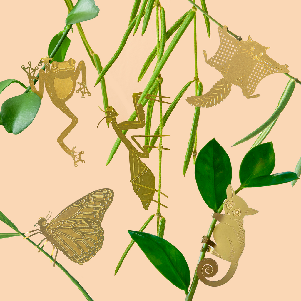 The Fab Five Plant Animal set | Best selling houseplant decoraionts ...