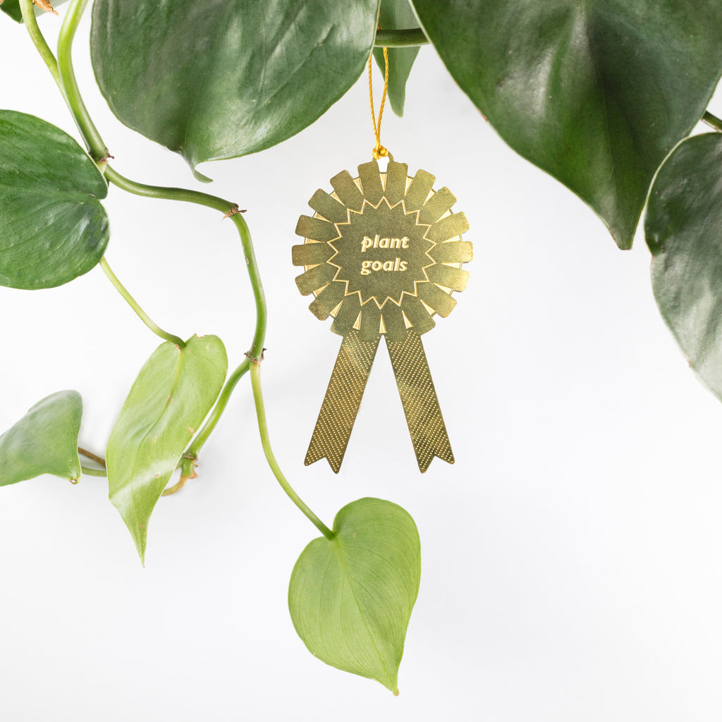 Plant Award - Plant Goals – Another Studio