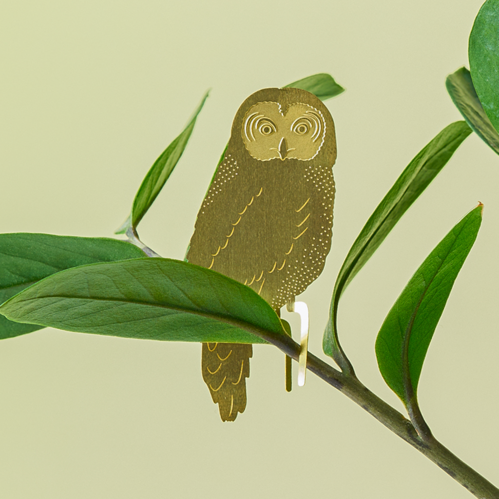 Owl Plant Animal | Fun houseplant gifts – Another Studio